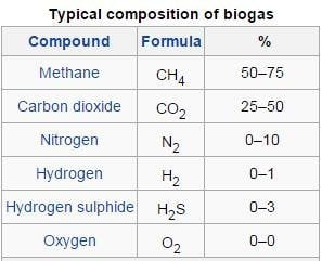 Biogas Composition