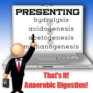 High Solids Anaerobic Digestion