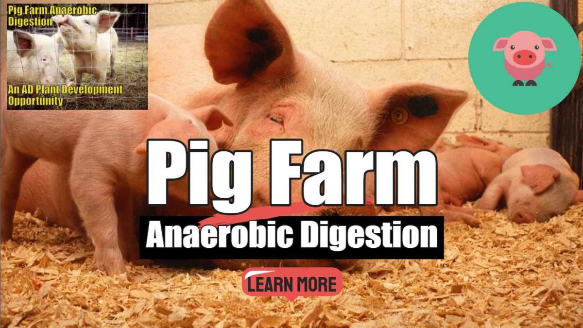Pig Farm Anaerobic Digestion - Operating Swine or Hog Digesters
