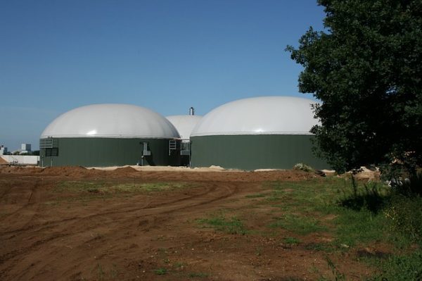 Mesophilic Anaerobic Digestion