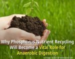 Phosphorus Alternatives: Vital Role for Anaerobic Digestion