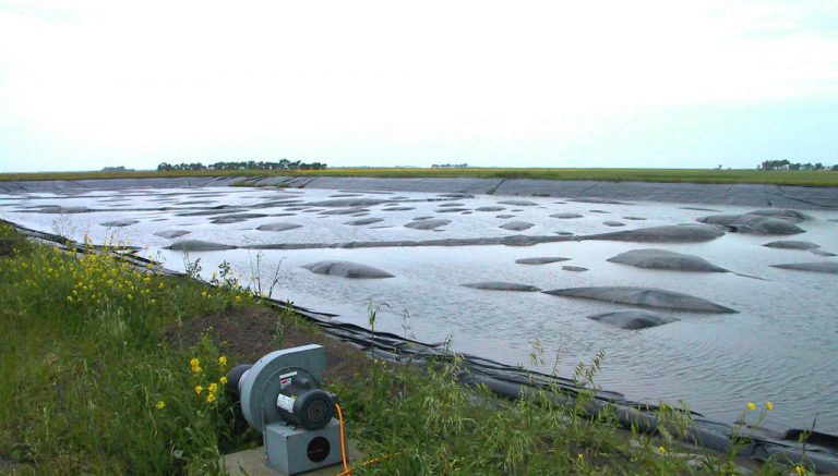 Covered Anaerobic Lagoon Process - Using Manure Ponds for Biogas