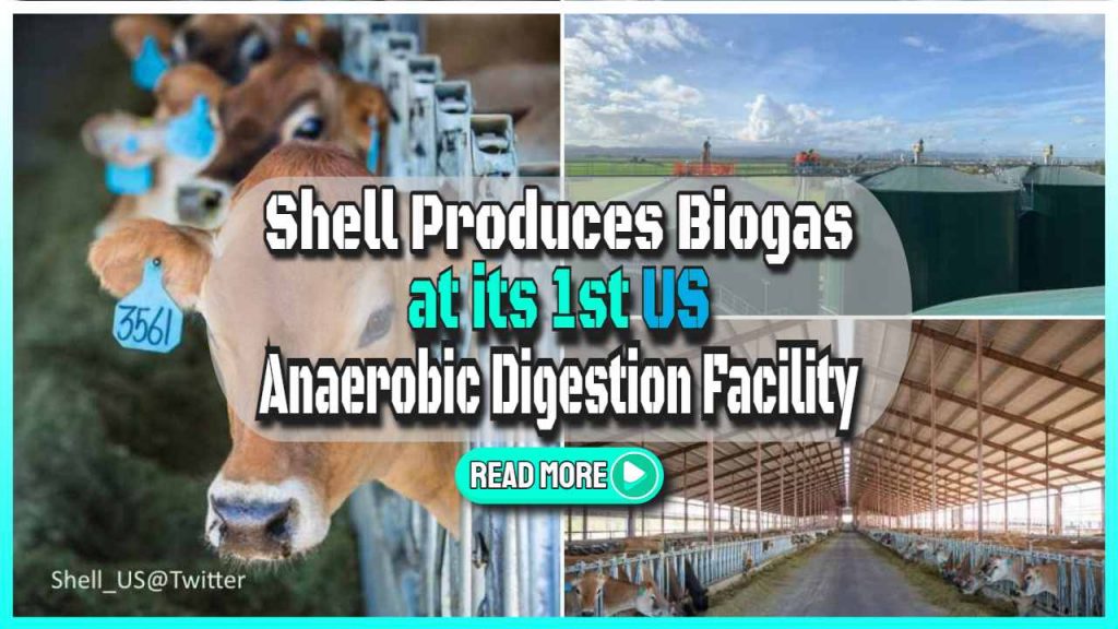 Shell Produces Biogas at its 1st US Anearobic Digestion Facility